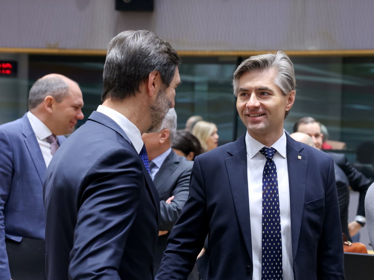 Ministras K. Budrys: ES turi imtis iniciatyvos dėl Ukrainos ir Europos ...
